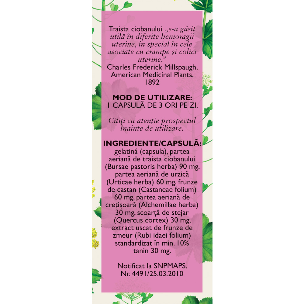 Normoflux, 60 capsule, Fares : Bebe Tei