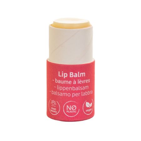 Balsam de buze Ice Cream, 6g, Beauty Made Easy : Bebe Tei