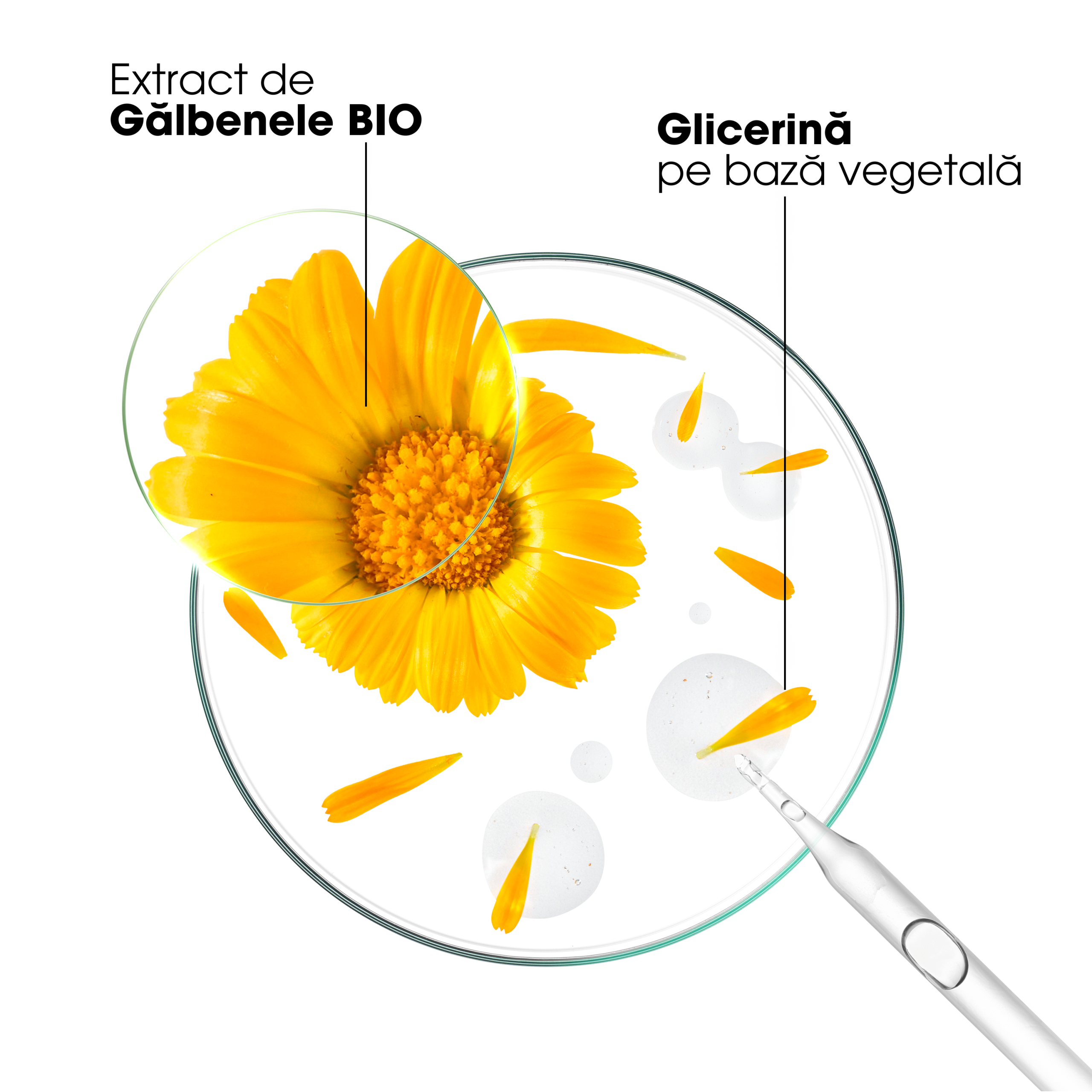 Pudra protectoare pentru bebelusi, 75 g, Klorane : Bebe Tei