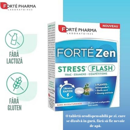 Forte Zen Stress Flash, 10 comprimate orodispersabile, Fort : Bebe Tei
