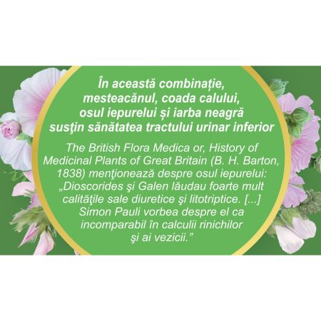 Renalex ceai, 50g, Fares : Bebe Tei