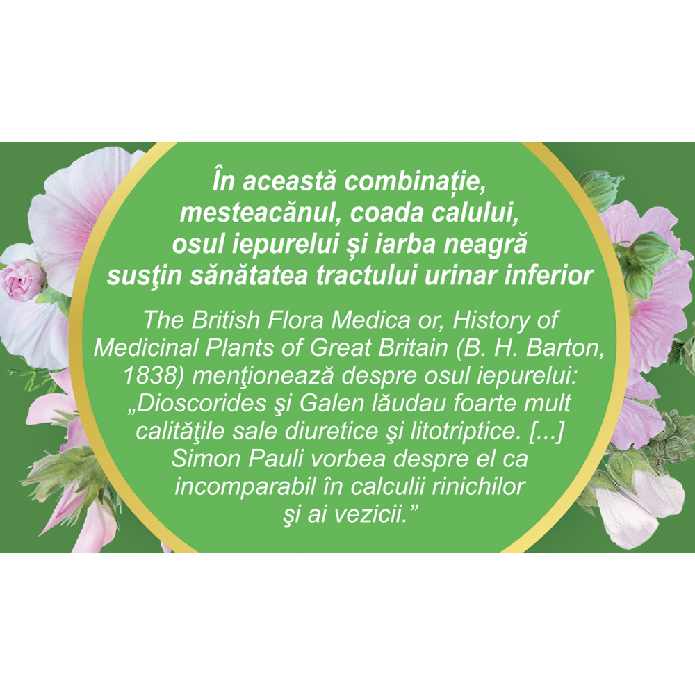 Renalex ceai, 50g, Fares : Bebe Tei