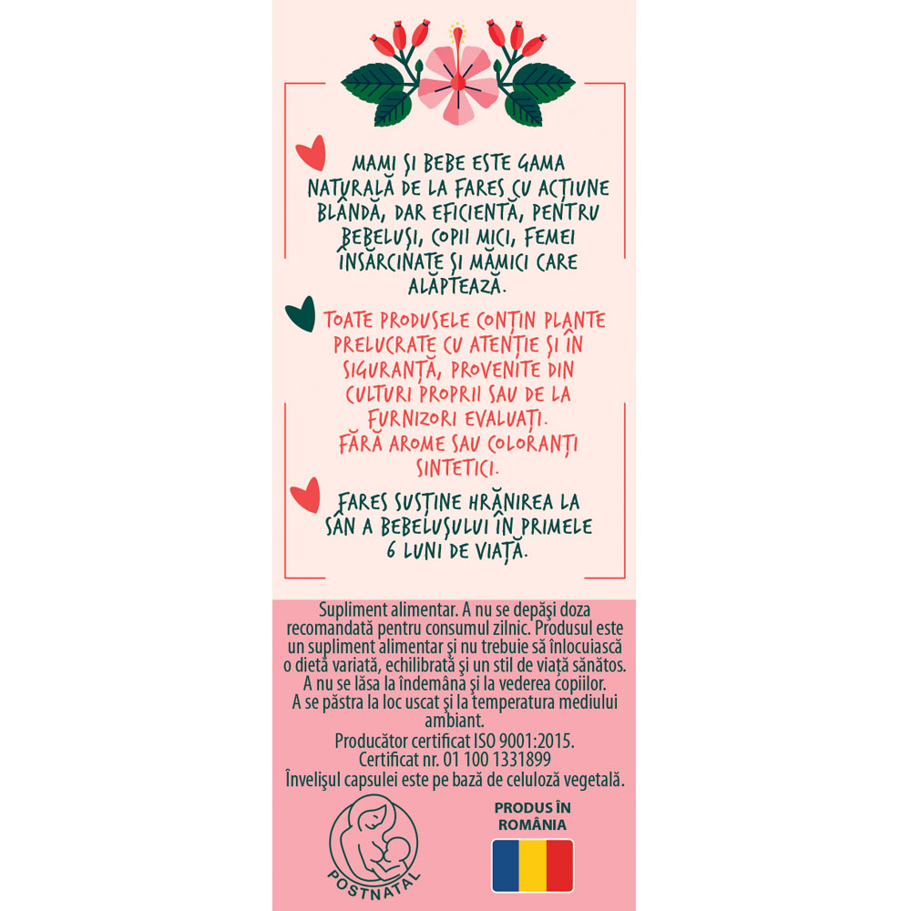 Prospect Stimularea lactatiei Mami si Bebe, 60 capsule, Far : Bebe Tei