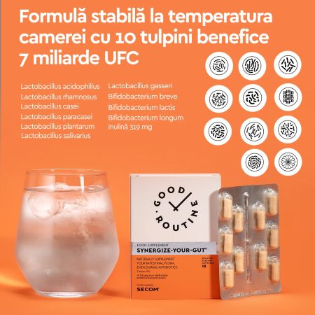 Synergize Your Gut Good Routine, 10 capsule vegetale, Secom : Bebe Tei