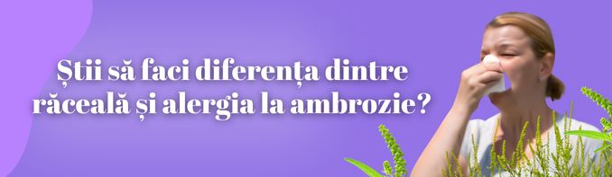 Noutăți : Bebe Tei